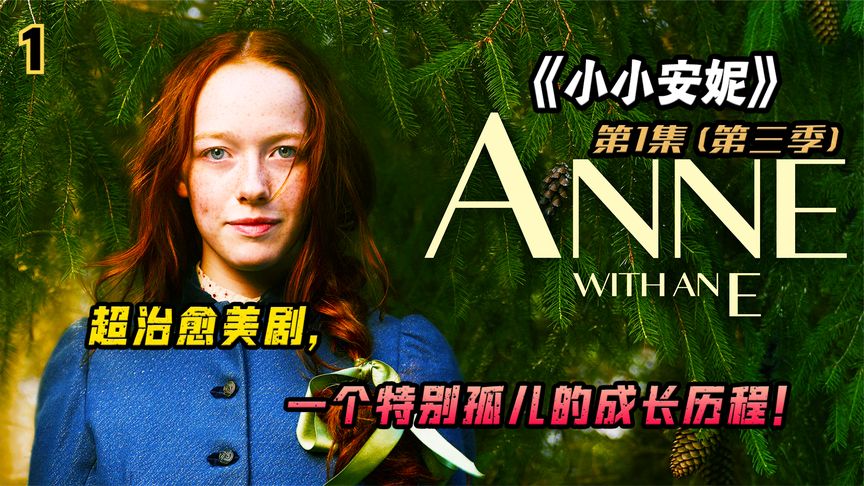 豆瓣评分9.1的超治愈美剧《小小安妮》这个小姑娘真的很美.第三季