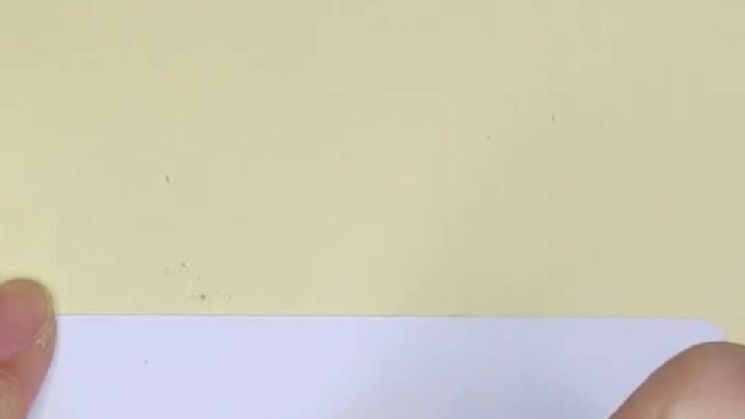 画各种不同的鱼简笔画 画画