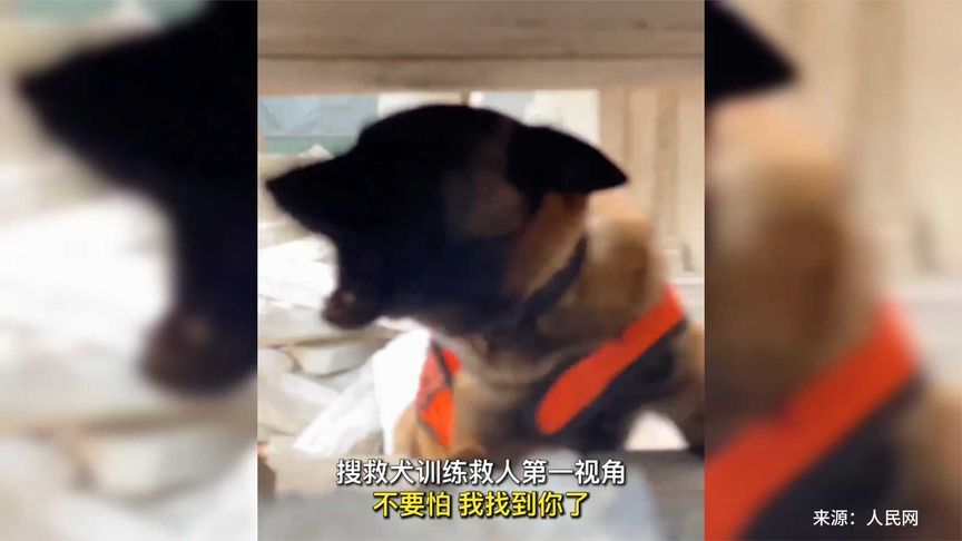 它在废墟中寻找幸存者,努力警示,为幸存者带来希望!