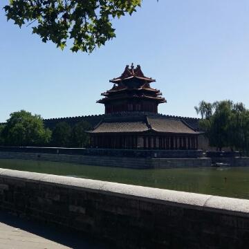 踏实的缠绕水草 