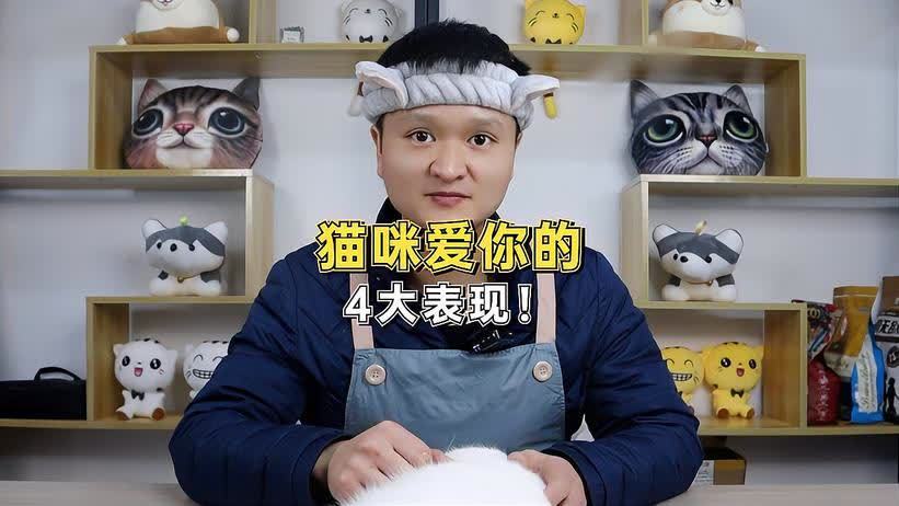 猫咪爱你的4大表现!