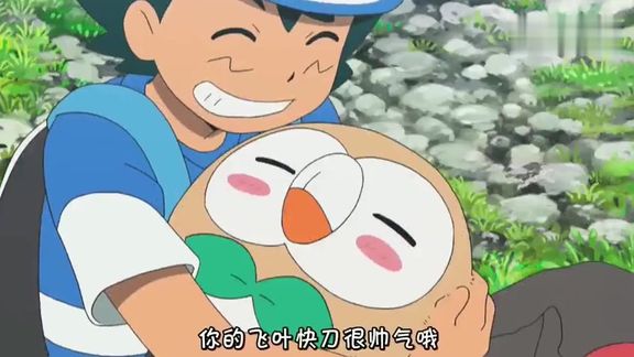 神奇宝贝:小智的木木枭被神兽看中,竟学到了这个强大的技能