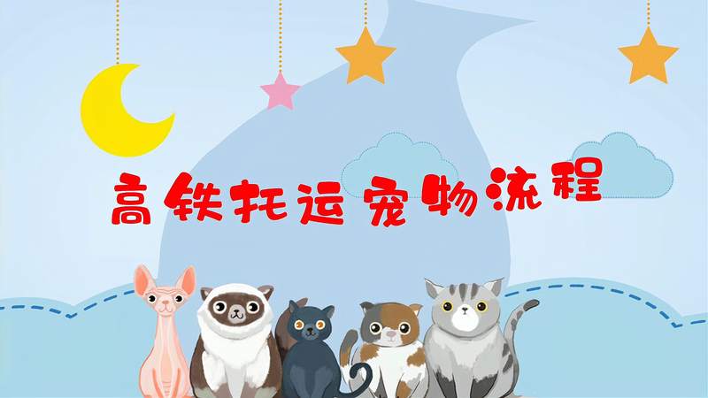 高铁托运宠物流程