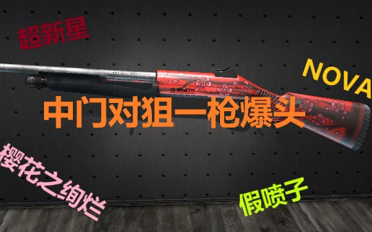 【CSGO】智障日常-1/NOVA“狙击枪”的正确使用方法