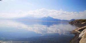 little瑾瑜小课堂 