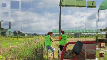 稻田画规划设计绿杉国际