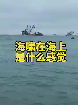 汤加火山喷发 海啸在海上是什么感觉