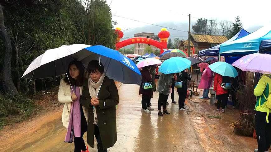 为什么折叠伞这么方便,日本人却不用呢?原因原来是因为这3点