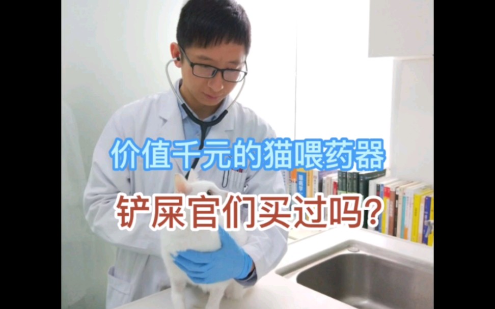 猫咪误食喂药器