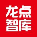 龙点智库 