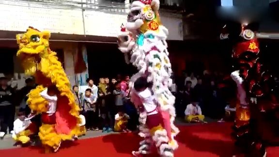 传统的汕尾舞狮表演,有着鲜明的民族特色传统体系,非常精彩!