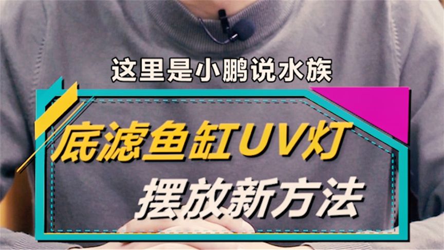 水族小知识,底滤鱼缸UV灯摆放新方法,与您分享