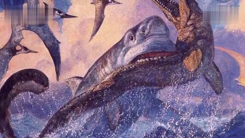 巨齿鲨vs霸王龙