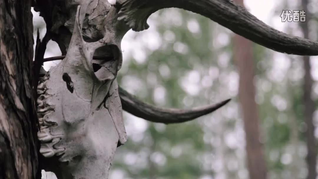 俄罗斯荒野狩猎