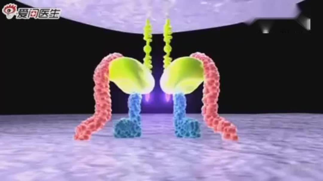 医学3D动画演示:HIV病毒的生命周期