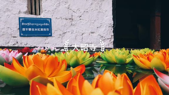 书本上看到的是知识走出去得到的才是见识[玫瑰]