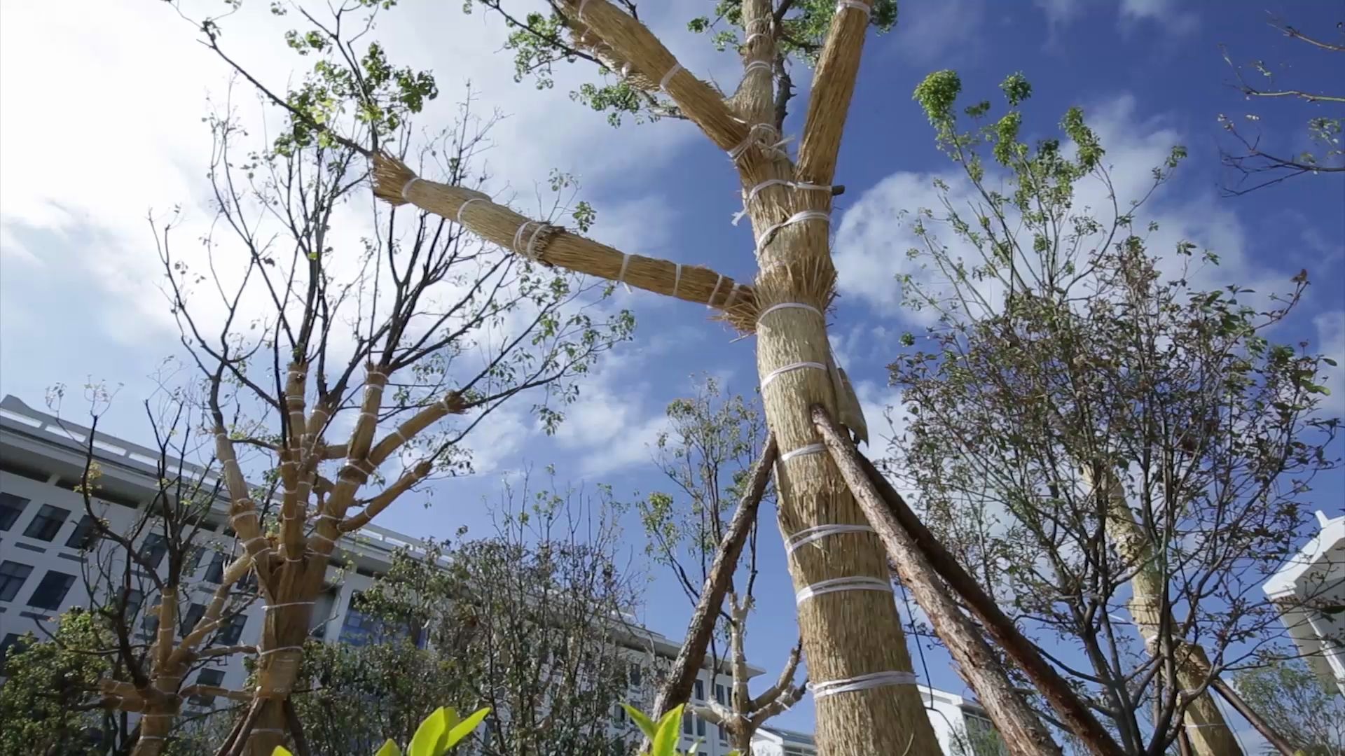 2.《毕业寄语》民族中学高中毕业班