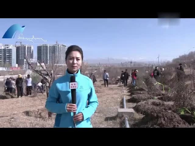 开展植树造林 绿化美丽家园