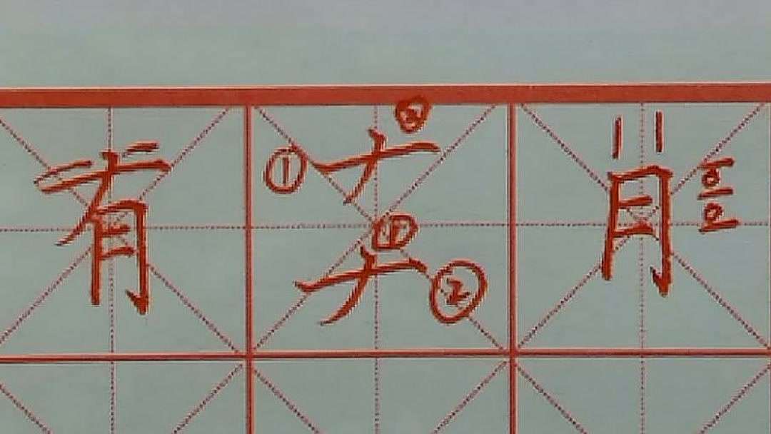 有字书写要领 硬笔书法视频教程