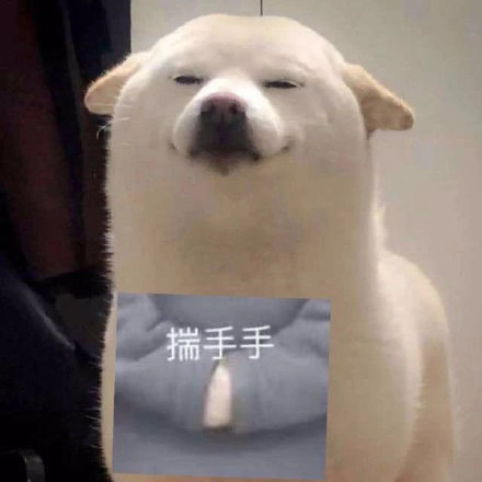 流落民间小狼狗 