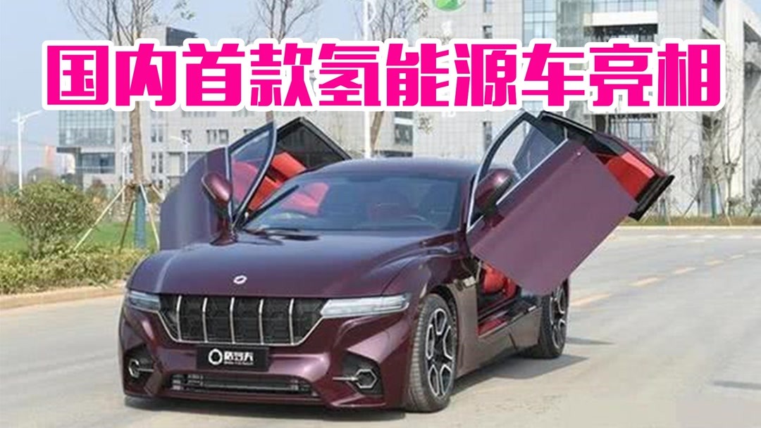 中国首款氢气车亮相?加氢3分钟续航1000公里?看到价格车友乐了