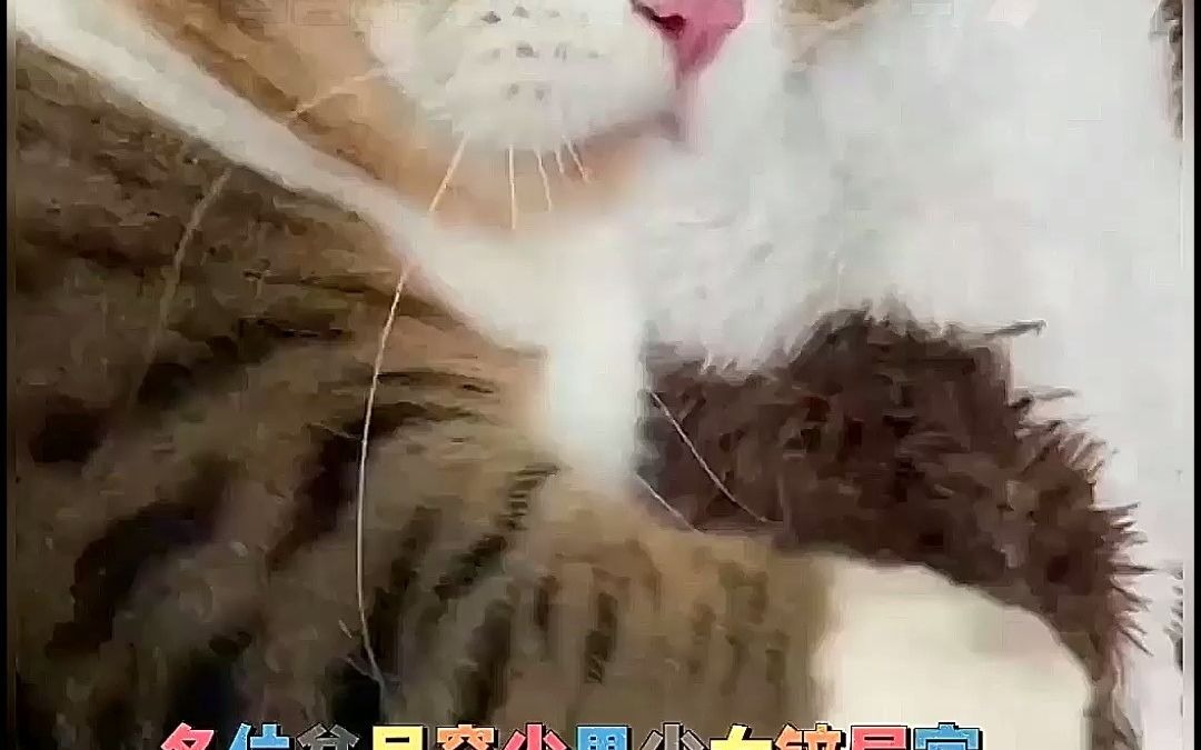 ...女朋友推荐的群里80元秒到了ASUS/华硕无畏Pro15 2022锐龙6800H...