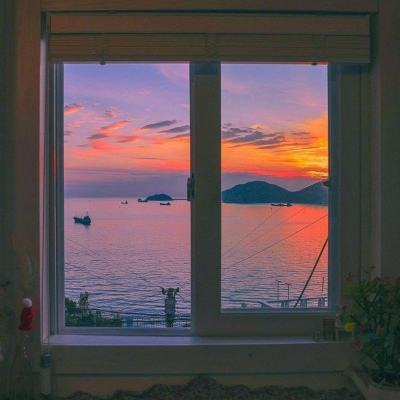 爆笑砂糖橘 