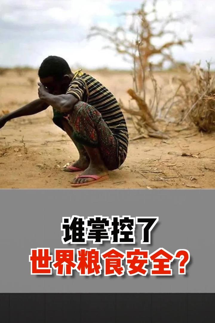 粮食危机背后的贪婪!谁掌控了世界粮食安全?#中国#粮食