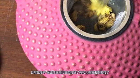 常见菊花有三种,养生功效各不同!视频教你选