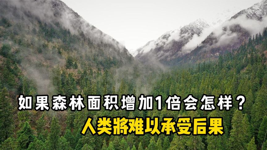 森林越多越好?如果森林面积增加1倍,人类将难以承受后果
