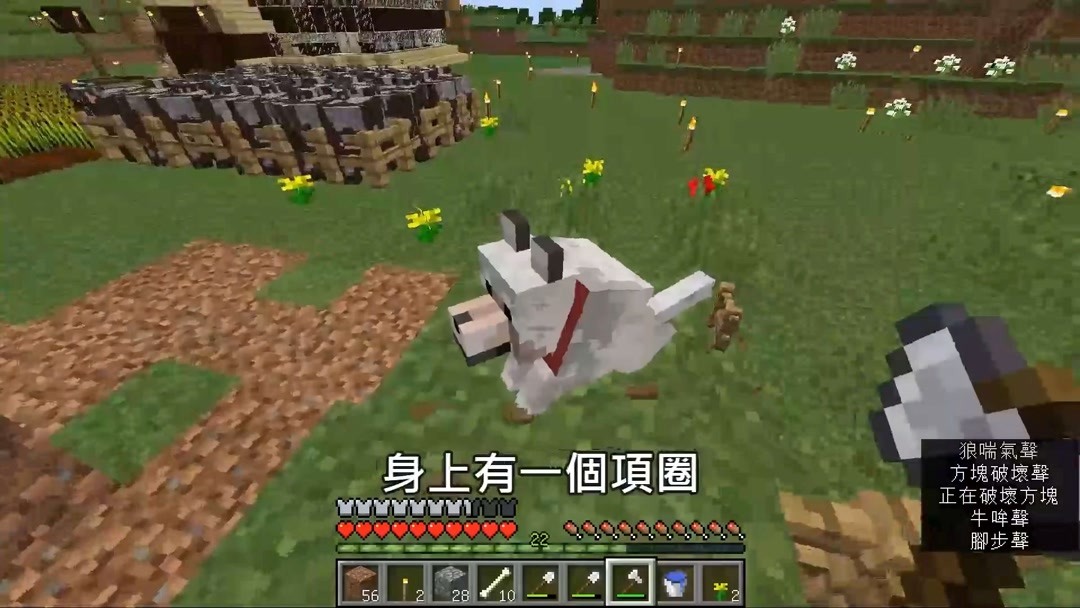 我的世界 永远的好搭档 终于养了一只狗啦