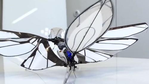 无人机过时了!试试这架扑翼机,模拟生物,扇动翅膀飞行