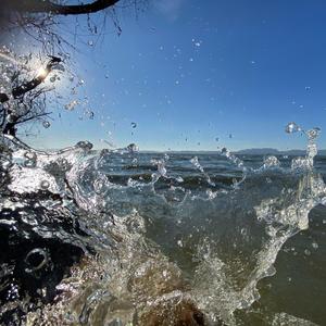 思维需要洞察力 