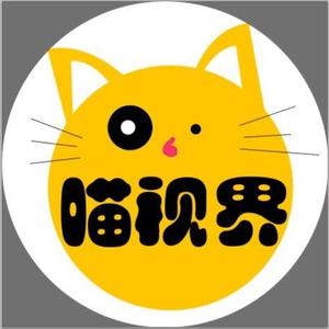 喵视界H 