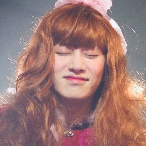 不不不二的兔子 