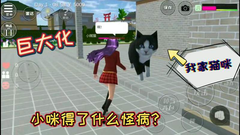 樱花校园模拟器:我家猫咪得了怪病?我却没钱医治