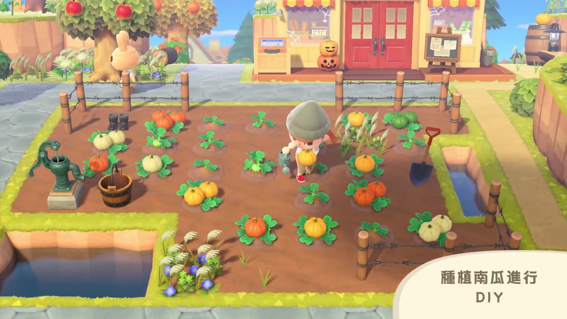 动森万圣节活动要知道的五件事!丨【动物森友会】