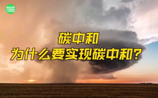 为什么要实现碳中和