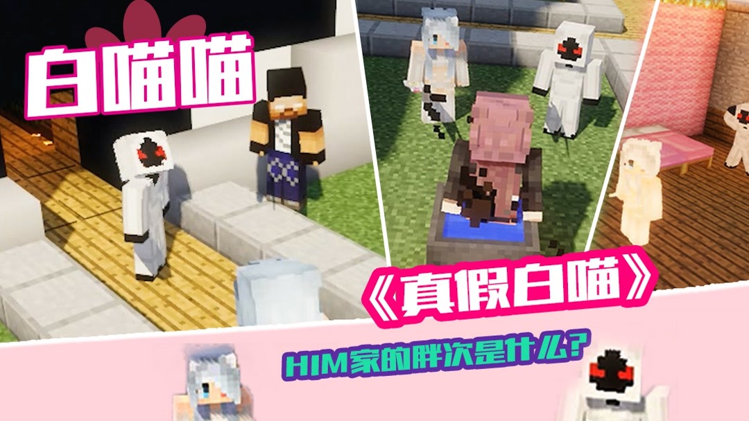 我的世界：两个白喵，303难分真假，him轻松识别
