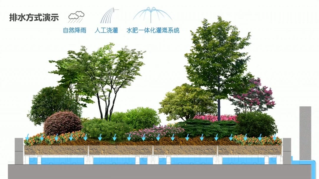 翠箓科技模块化屋顶绿化产品及施工详解