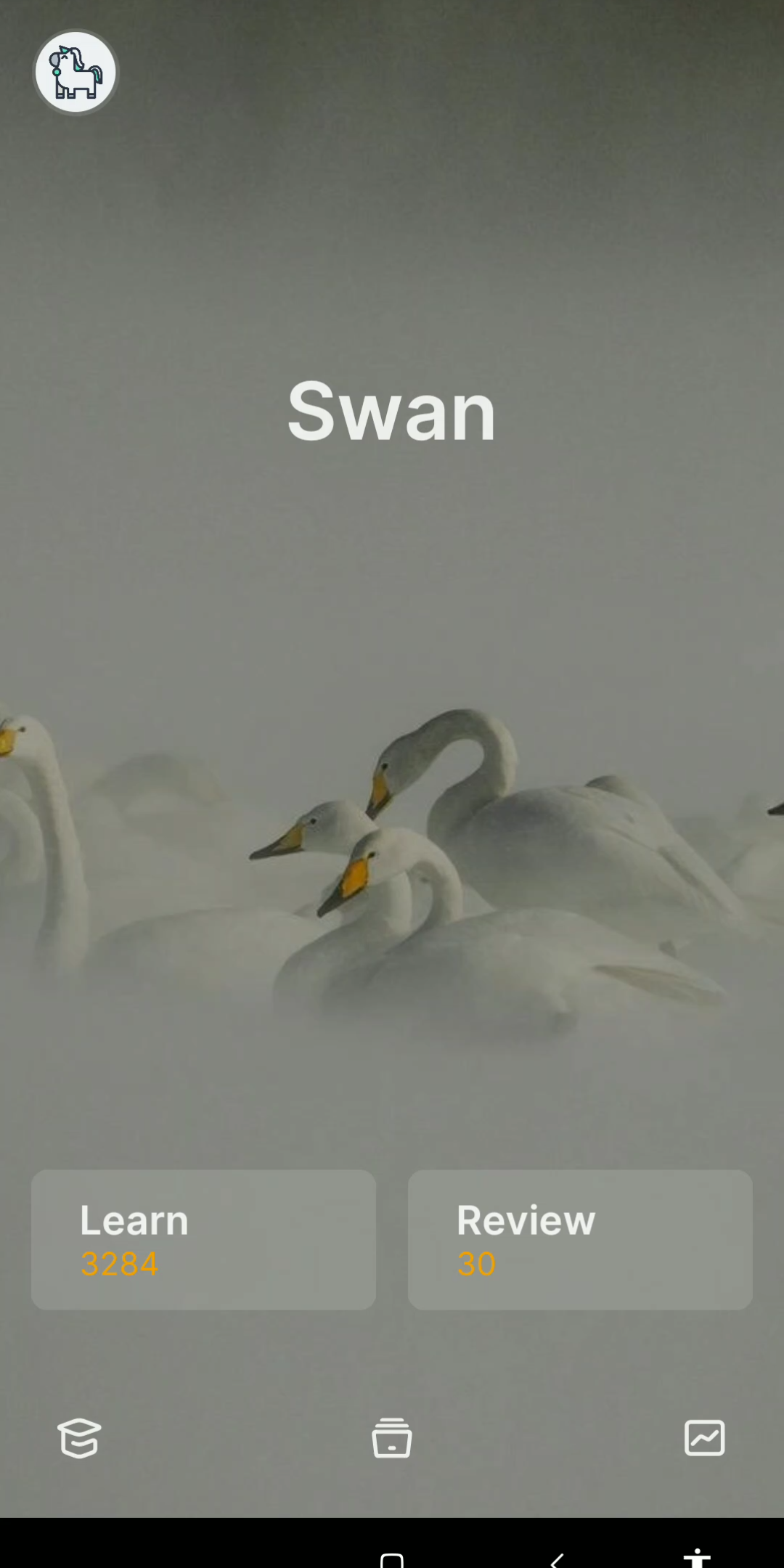 英语单词背诵打卡