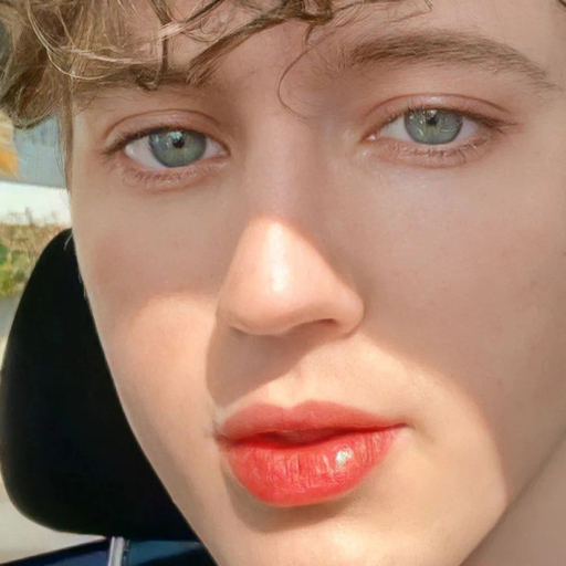 十二月八的李子 