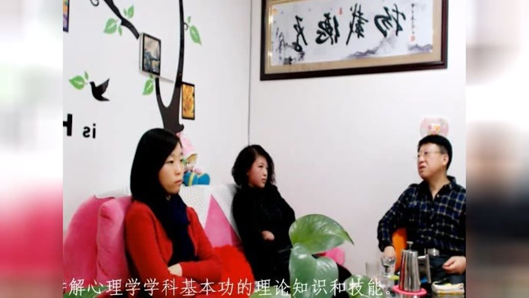形意心理学恩威并施综合疗法创始人肖景浩讲解精神发育迟滞案例74