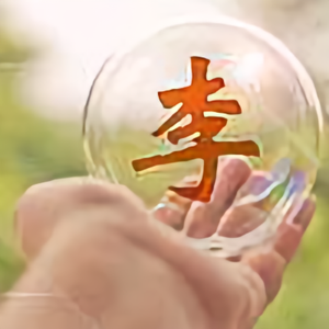 奋斗的小青年5A 