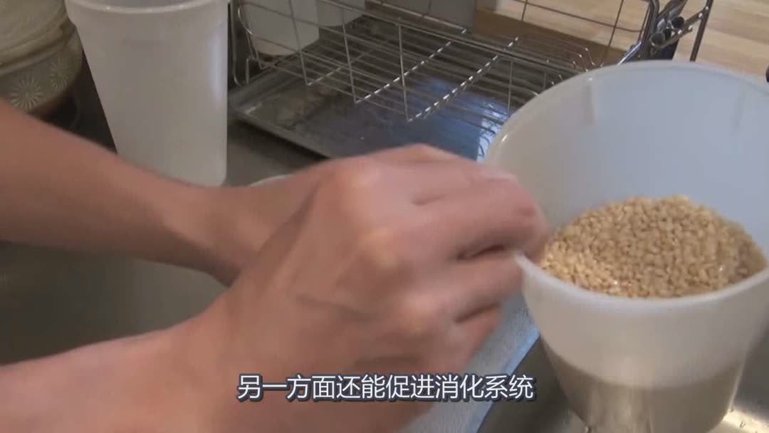 上班族立秋强推玄米茶,缓解压力舒缓心情,暖胃健脾身体好