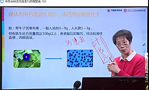 中药ADR发生因素与药物警戒2