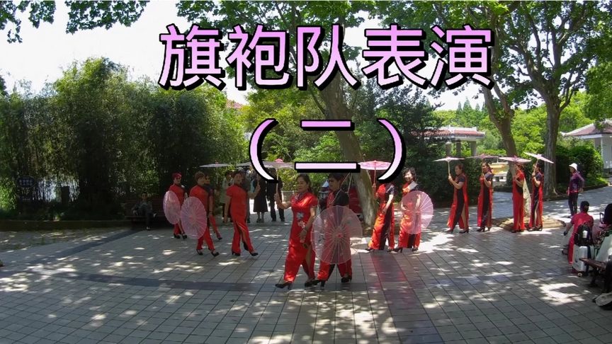 不知何时开始,小雨伞成了旗袍队表演的标配道具