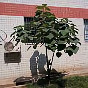 文学四度空间 