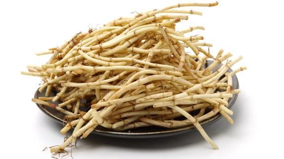 鱼腥草不能吃,因为它伤肾还会致癌?医生道出了实情