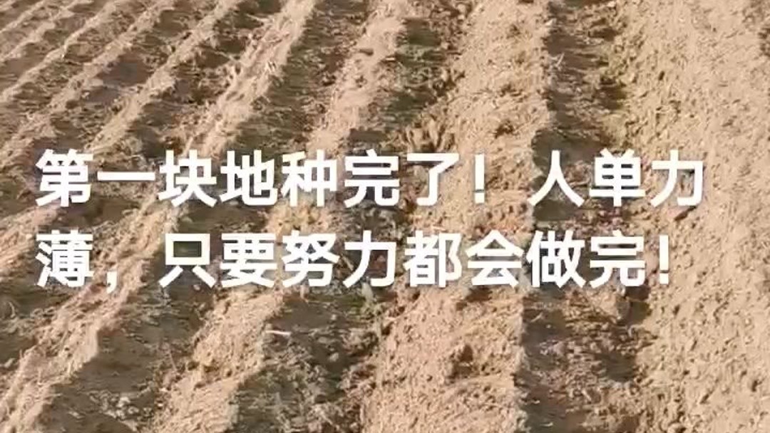 春季农民伯伯种地忙!所谓春种一粒粟秋收万颗籽!